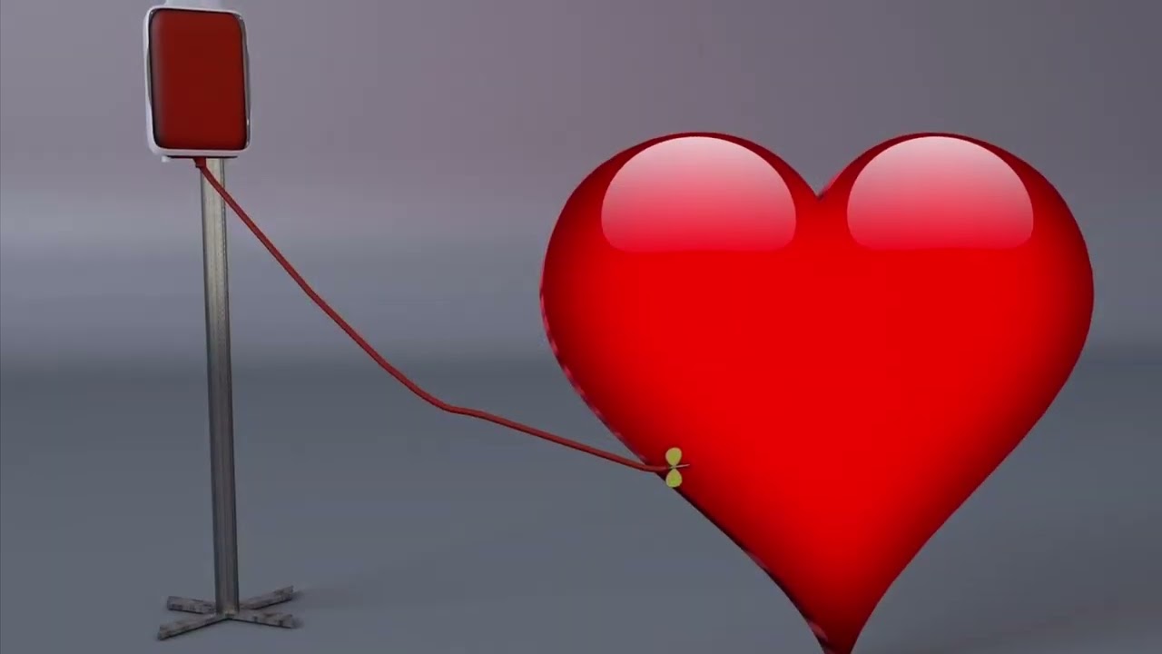 Blood Donation Dos and Donts - Everything You Need to Know Before ...